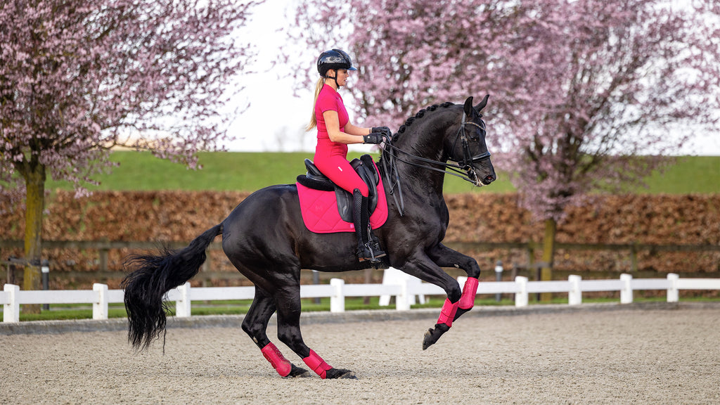 Maximilian Equestrian Official Website | Advanced Equestrian Clothing
